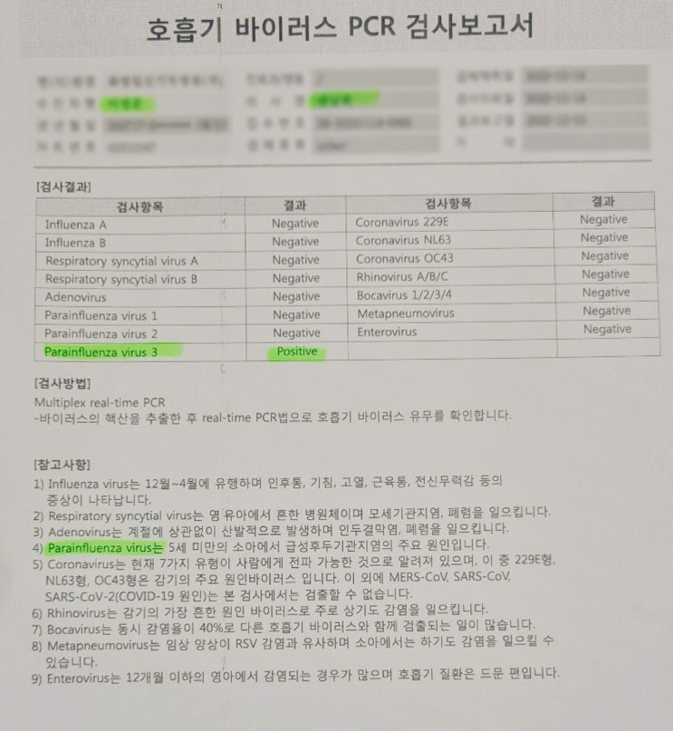 파라바이러스 파라인플루엔자 전염 2주동안 증상으로 입원 후 완치 네이버 블로그