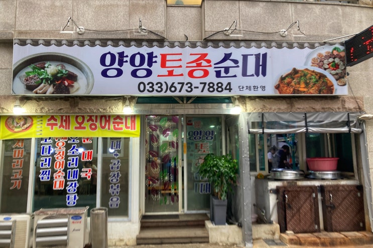 양양속초 현지 맛집 추천 양양오일장 맛집 양양토종순대 소내장탕 머리고기도 맛있지만 수제 오징어순대까지 맛남