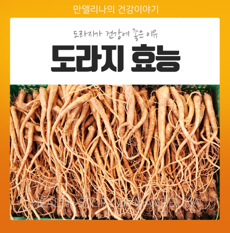 도라지 및 도라지차 효능과 칼로리도라지 껍질 도라지 뿌리 효능 네이버 블로그