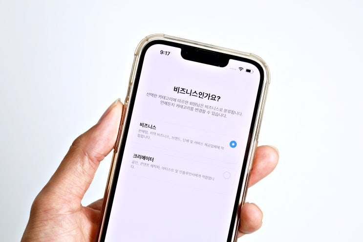 인스타 프로페셔널 계정 설정 및 취소 삭제 방법 카테고리 방문자 확인하기 네이버 블로그