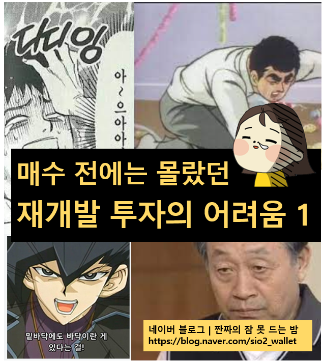 재개발 매수 전에는 몰랐던 재개발 투자의 어려움 1 수리 네이버 블로그