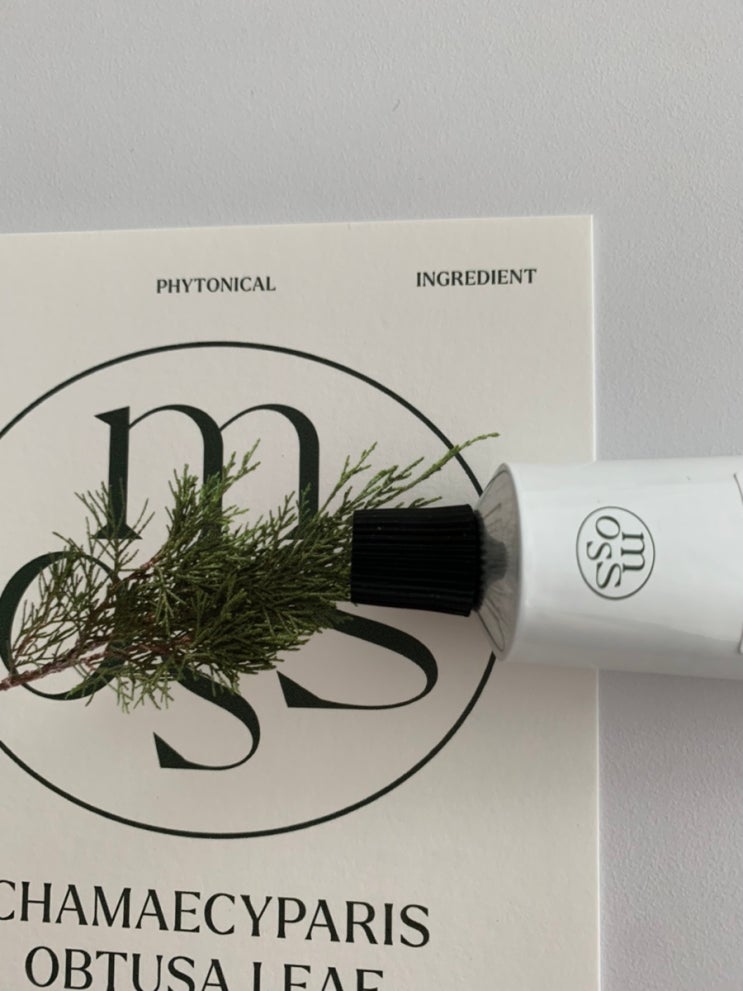 모스 핸드크림 퍼즈 PAUSE : Serendipity moss hand cream : 네이버 블로그