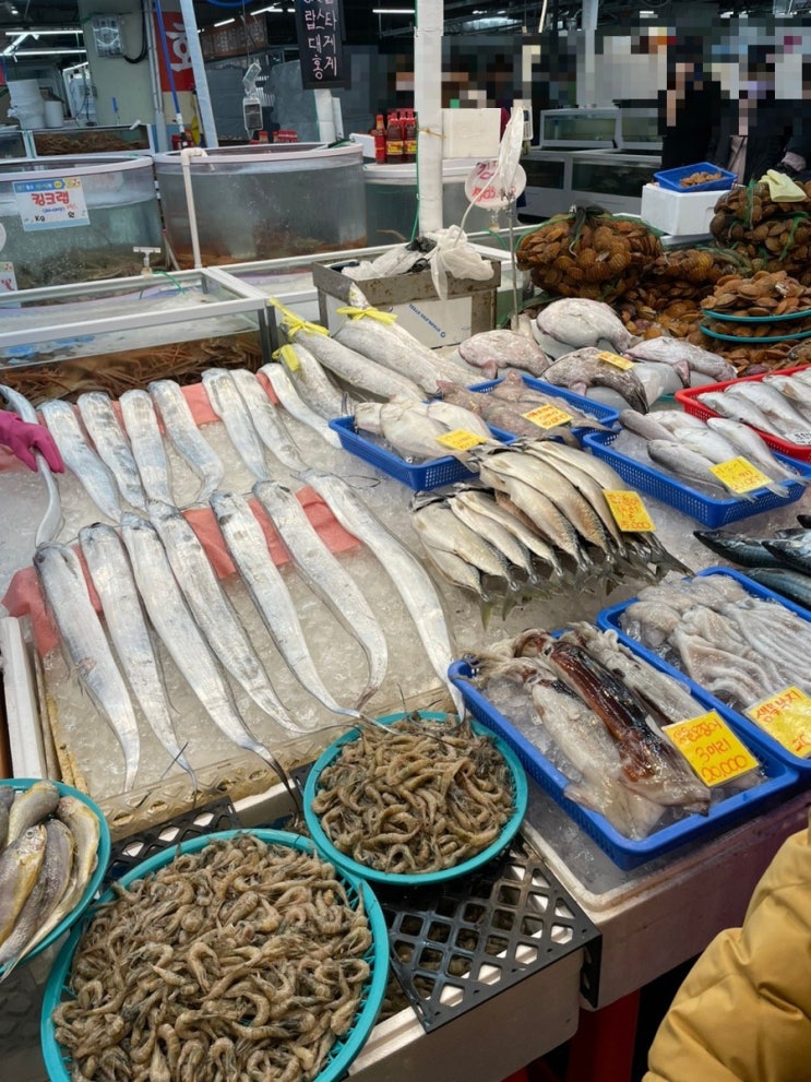 대구 매천시장 수산물 구경 : 네이버 블로그
