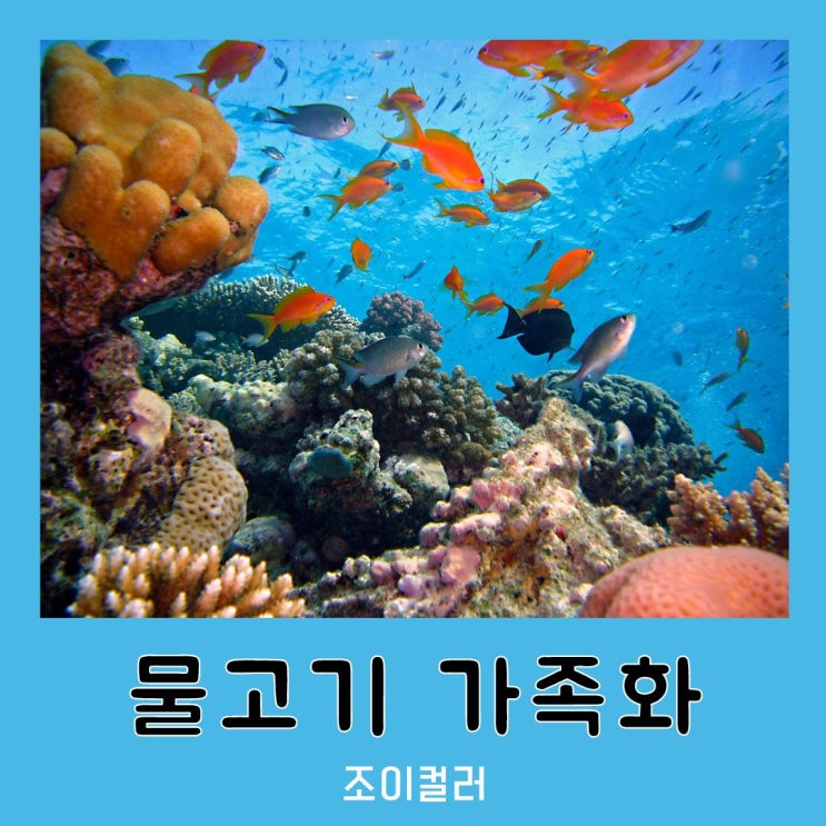 미술심리치료 그림 검사 4: 물고기 가족화(Kinetic Fish Family Drawing) : 네이버 블로그