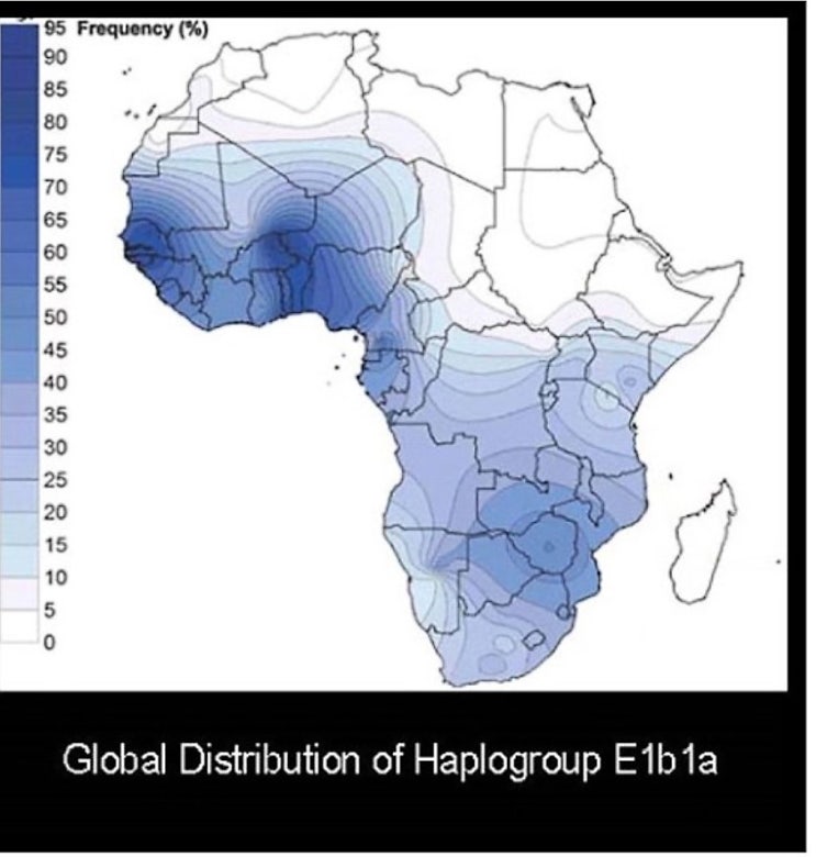 니제르 콩고어족 하플로 E1b1a Y-Haplogroup 분포 현황 국가,E1b1a 검출자 인물들 현황 E1b1a Y-STR ...