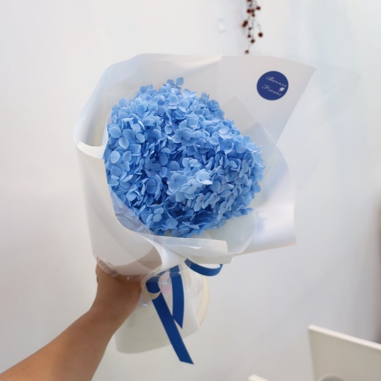 수국프리저브드💙 드라이플라워 천일꽃 수국꽃다발 연주회꽃다발 창원꽃집 마산꽃집 내서꽃집 삼계꽃집 호계꽃집 함안꽃집 중리꽃집 현동꽃