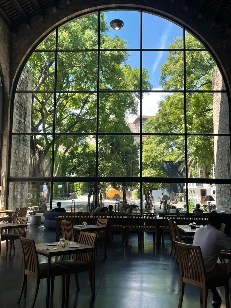 Summer Barcelona 바르셀로나 여행 Day7 (라치나타, moco museum 모코미술관,바르셀로네타해변 ...