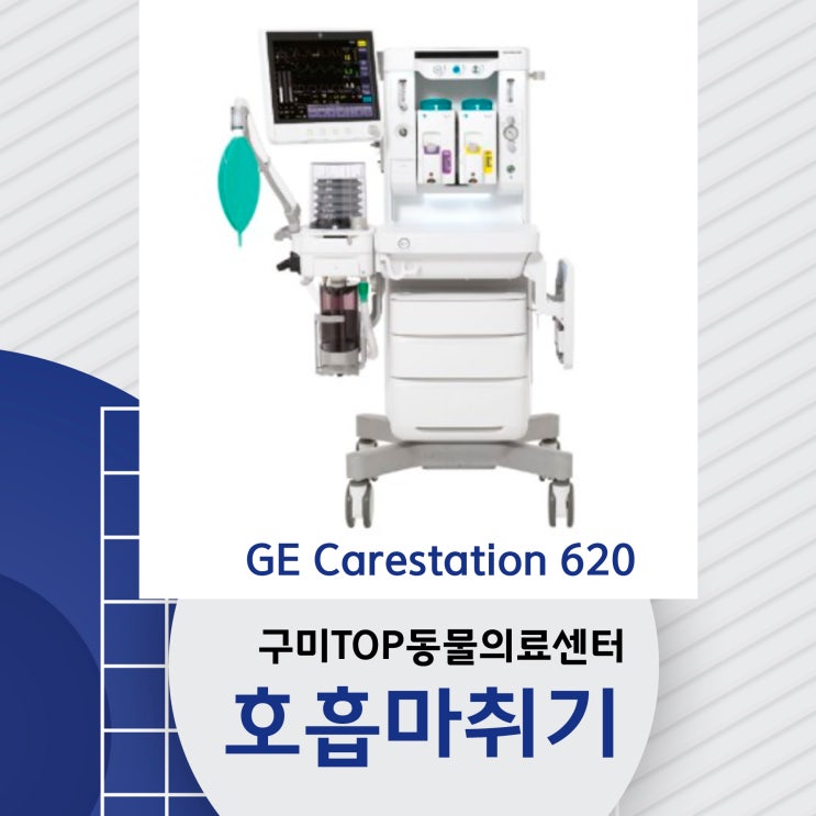 [구미TOP동물의료센터] 장비소개/수술장비/호흡마취기/GE Carestation 620/구미탑동물의료센터/구미탑메디컬센터/동물 ...