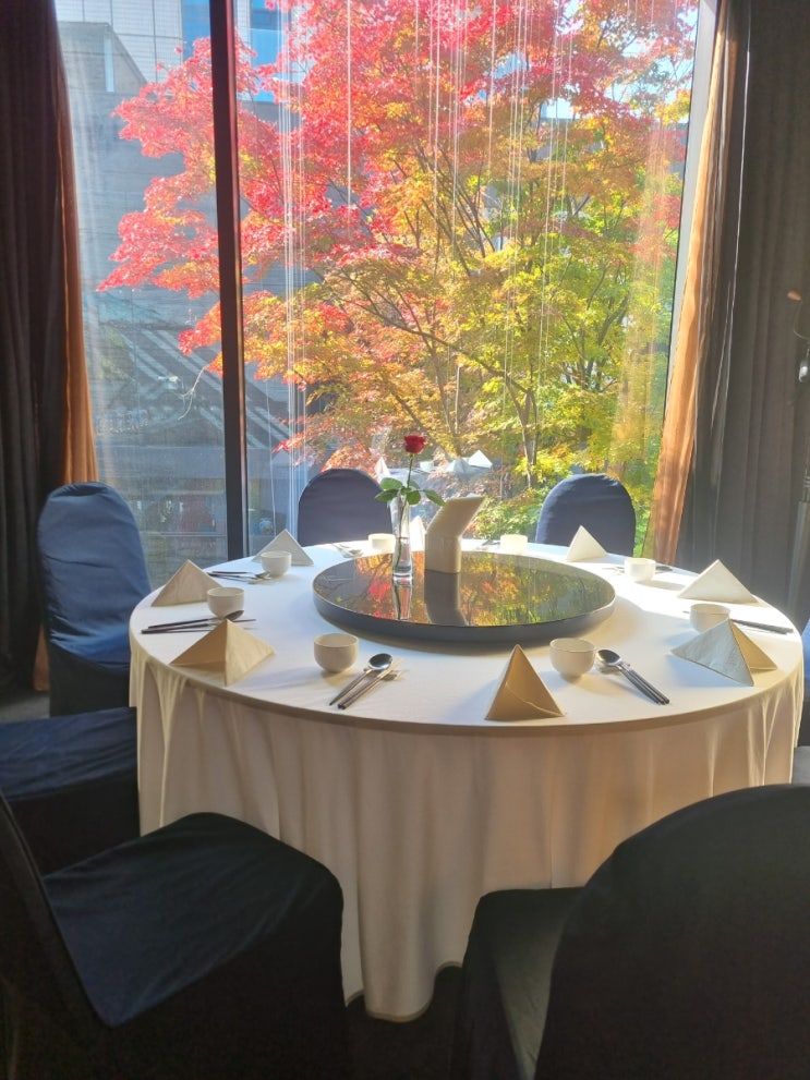 강남맛집 회식 모임하기 좋은 중식 레스토랑 강남역 대려도 메뉴정보 룸이 있는 중식당 네이버 블로그