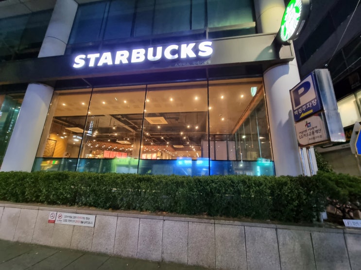 스타벅스 신메뉴 제주 금귤 민트 티 And 오트 크림 스카치 콜드 브루 네이버 블로그
