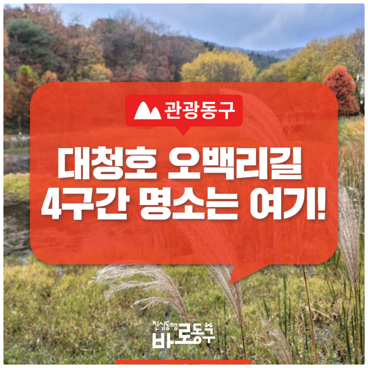 대청호 오백리길 4구간 명소 자연생태를 직접 보고 체험하고 즐겨봐유~ 「대청호자연생태관」 「대청호자연수변공원」 네이버 블로그