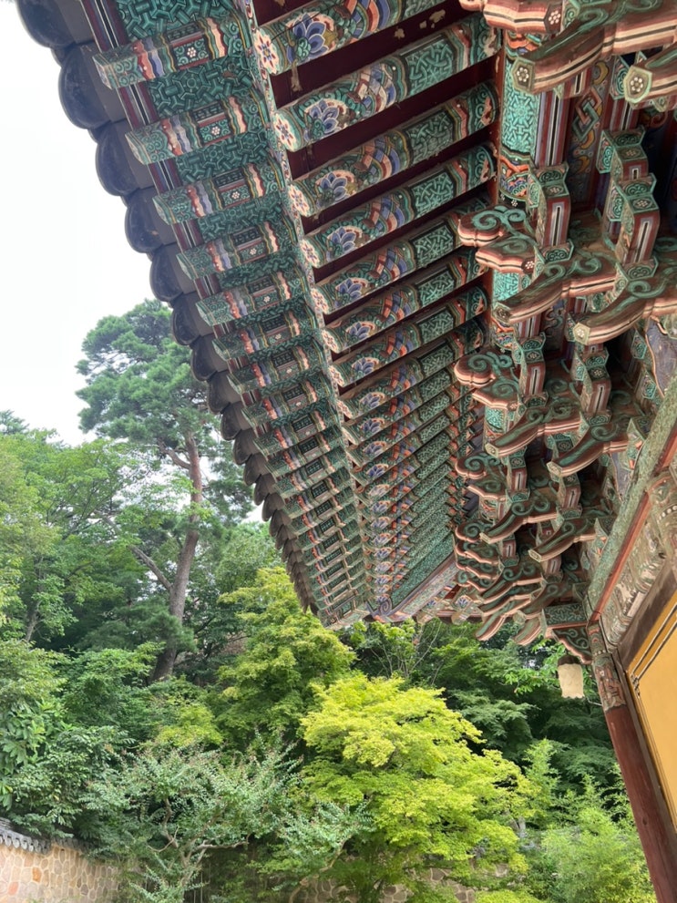 8월 경주여행 3일차 2박 3일 로머스커피 불국사 올바릇식당 국립경주박물관 엘로우 교리김밥 보문점 네이버 블로그