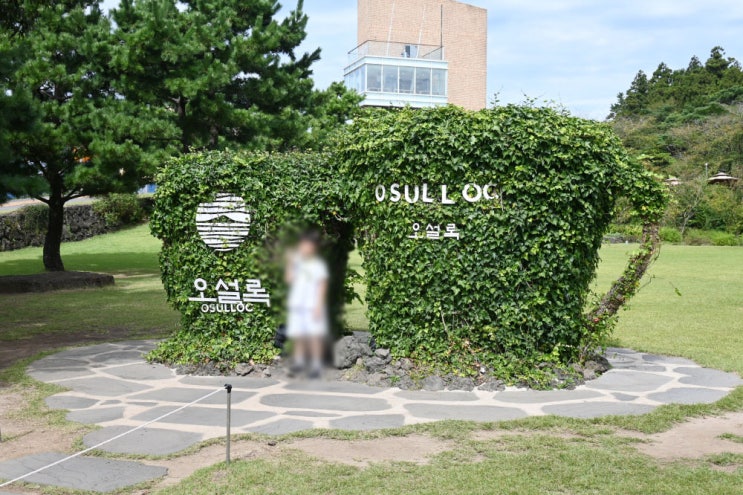제주 오설록 티뮤지엄 녹차밭 제주도 녹차 이니스프리하우스 네이버 블로그