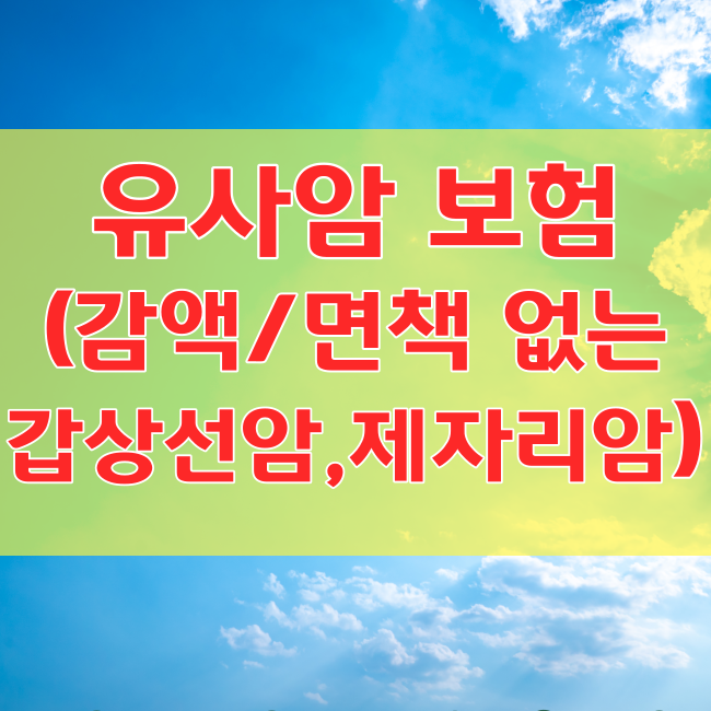 유사암 보험 가입즉시 전액 보장 면책 감액 기간 없는 갑상선암 제자리암 네이버 블로그