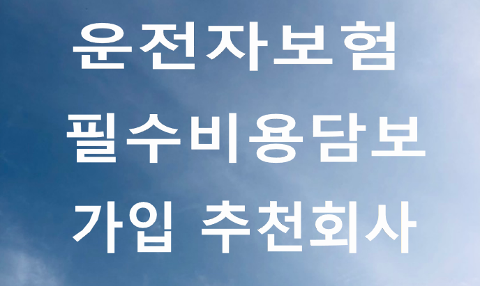 운전자보험 저렴하게 필수비용담보들만 가입사례 추천회사벌금교통사고처리지원금자동차부상치료비14급 네이버 블로그