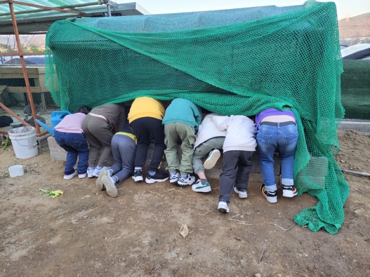 겨울소풍 덕산수목원 : 네이버 블로그