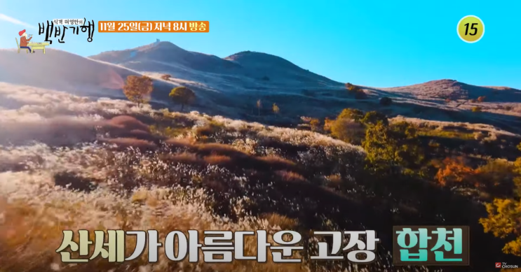 식객 허영만의 백반기행 합천 맛집 총정리 Ft 윤소이 돼지국밥 비빔수육 산채 백반 정식 새우탕 메기탕 손칼국수
