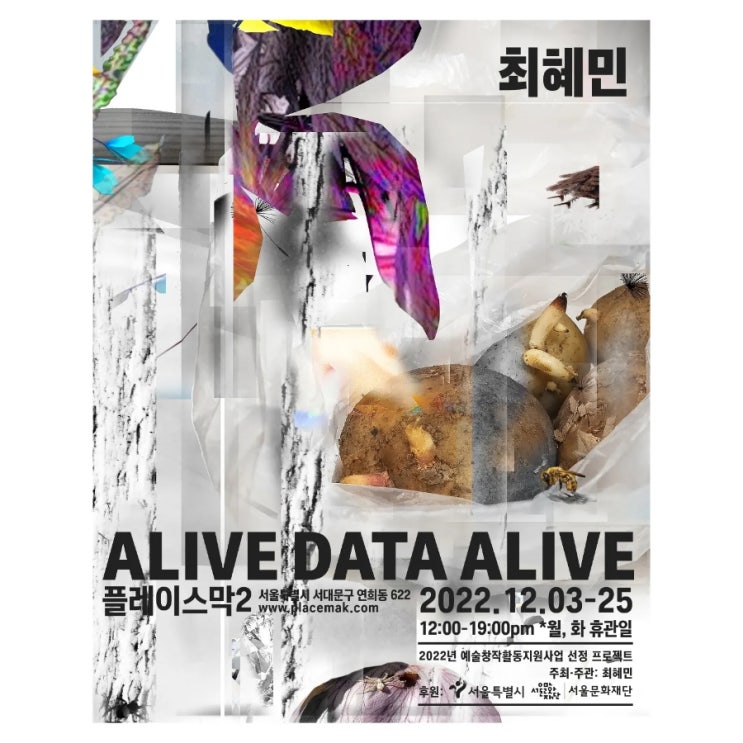 최혜민 개인전 - ALIVE DATA ALIVE : 네이버 블로그