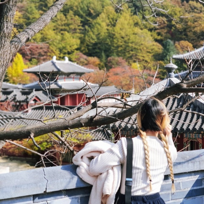 문경새재 오픈세트장 입장료 맛집 새재할매집 대기 실패 네이버 블로그