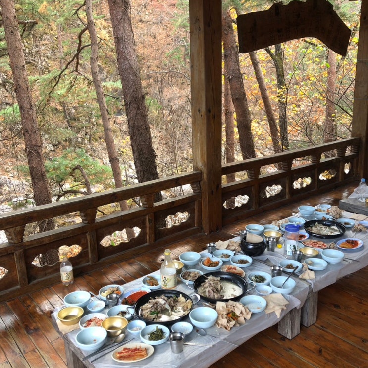동해삼화동맛집 무릉도원이 따로 없는 무릉반석 닭백숙 강원도 두타산 무릉계곡 닭도리탕 산채비빔밥 도토리묵
