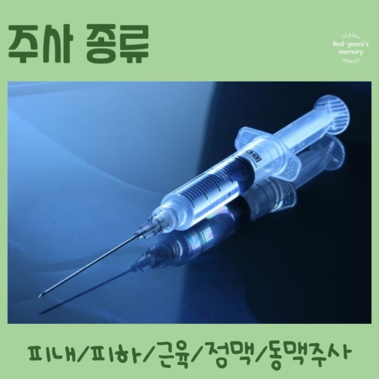주사 종류 ️피내주사ㅣ피하주사ㅣ근육주사ㅣ정맥주사ㅣ동맥주사ㅣ혈관주사 네이버 블로그