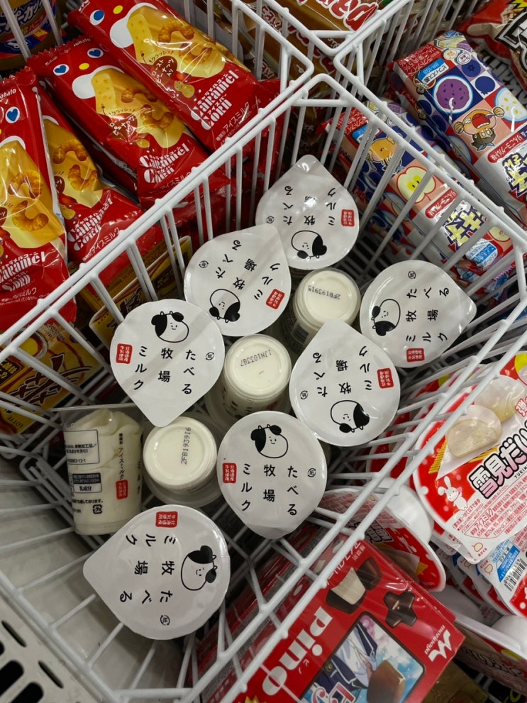 일본 도쿄 welcia & 패밀리마트 & Lawson 편의점 투어 : 네이버 블로그