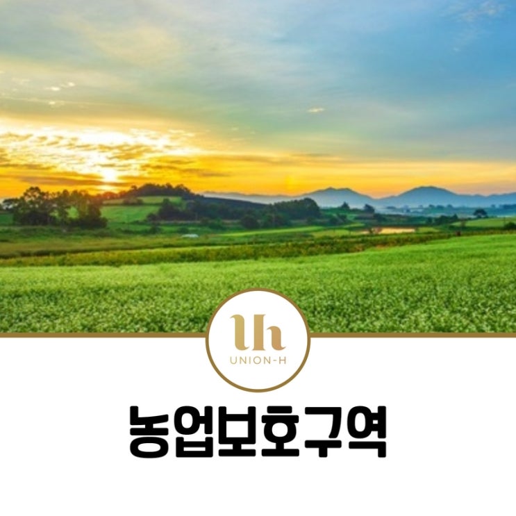 농업보호구역에서 할 수 있는 사업은 무엇이 있을까 네이버 블로그