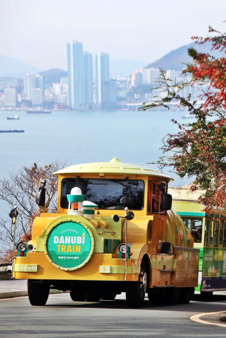 부산 태종대 산책 주차장 관람 코스 다누비 열차 부산여행 명소 걷기 좋은 길 부산 가볼만한곳 네이버 블로그