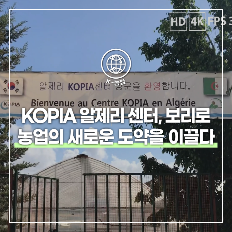 KOPIA 알제리 센터, 보리로 알제리 농업의 새로운 도약을 이끌다! : 네이버 블로그