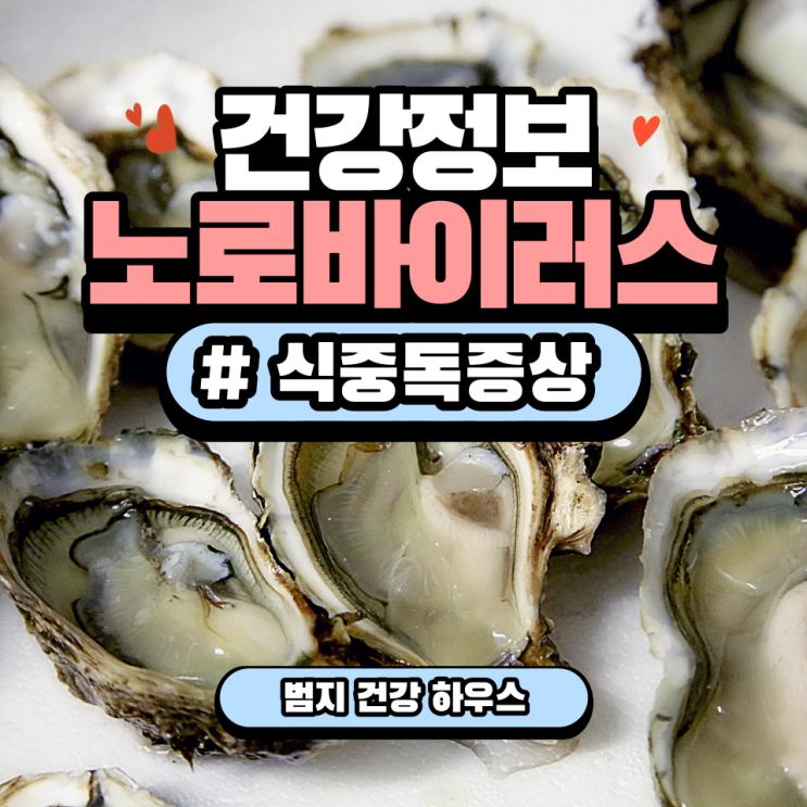 노로바이러스의 증상 원인 잠복기 그리고 치료 식중독 증상 네이버 블로그
