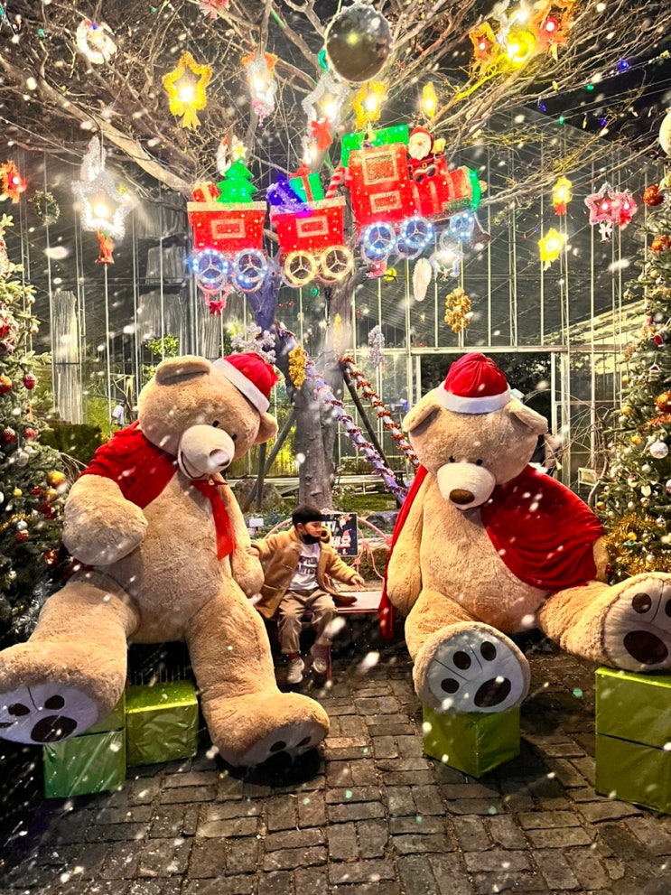 진해보타닉뮤지엄 아이와 함께 화이트 크리스마스 : 네이버 블로그