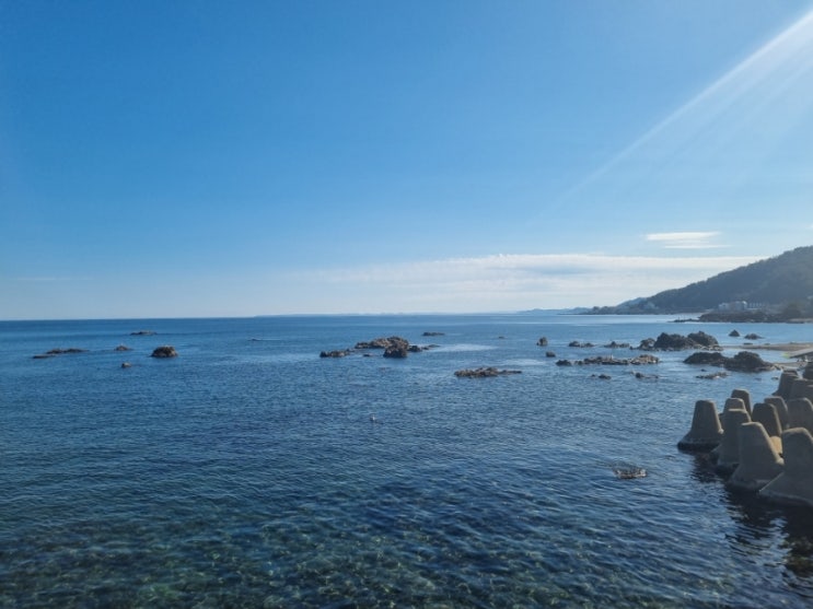 청주 오창 세종 오송 천안 천연비누공방 전문가과정 창업반 자격증반 외부출강 원데이클래스 취미반 - 제이솝아뜰리에 : 네이버 블로그