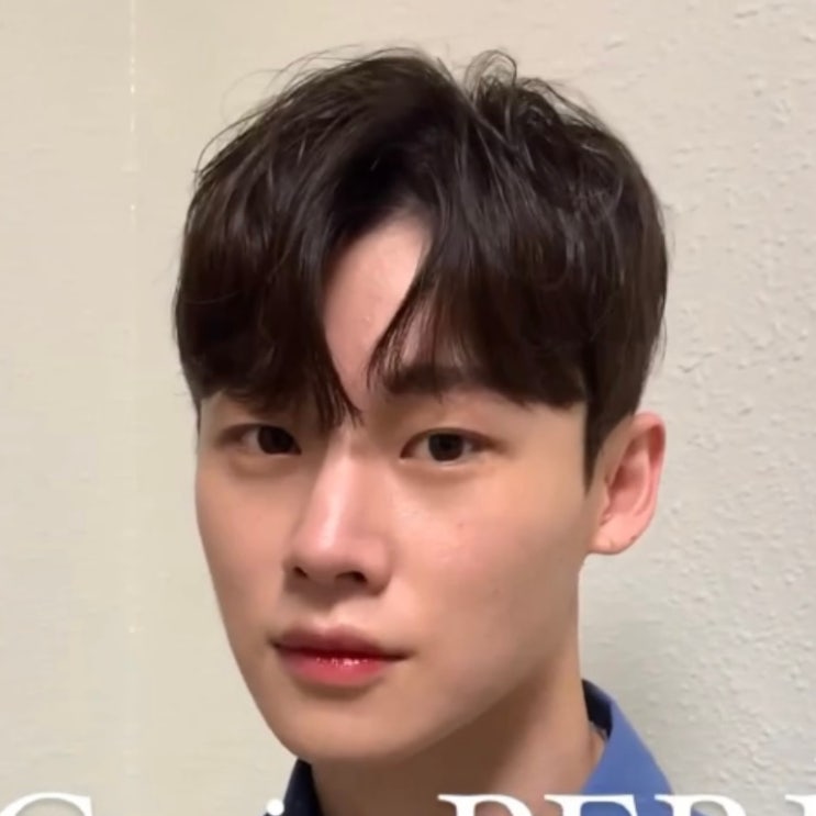 2023 남자 겨울 머리스타일로 보는 남자 펌 종류 시스루펌 애즈펌 가르마펌 쉐도우펌 네이버 블로그