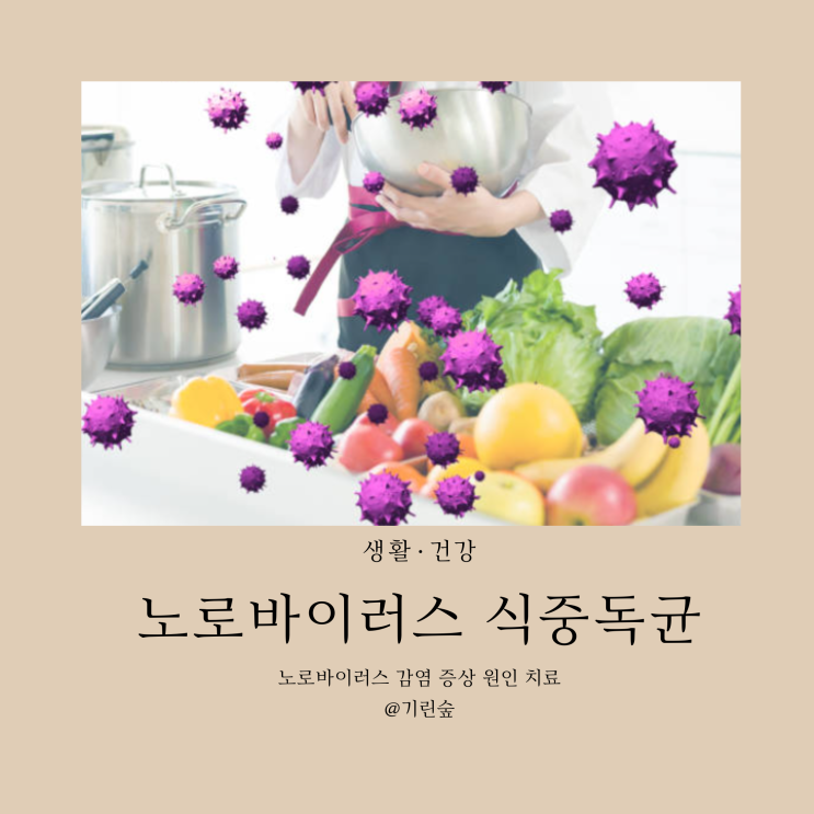 노로바이러스 증상 전염 잠복기 감염 겨울철 생굴 음식 식중독 원인 치료 시기 예방 네이버 블로그