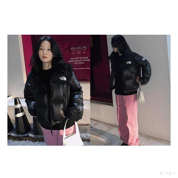 레드벨벳 슬기 노스페이스 눕시 패딩 개 핫해 네이버 블로그