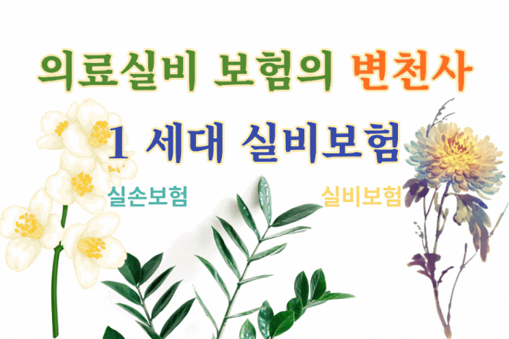 1세대 실손보험의 모든 것 일반상해의료비 포함 실비보험 메리츠화재 1세대실비 약관 요약 정리 네이버 블로그