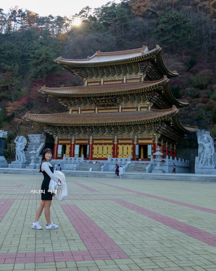 단양1박2일 여행코스 구인사 스카이워크 도담삼봉 유람선 등 네이버 블로그