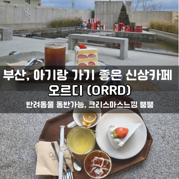 부산 사상 아기랑카페 가기 딱 좋은 포토존 많은 카페 오르디 (사상쿼피집 폐업) : 네이버 블로그