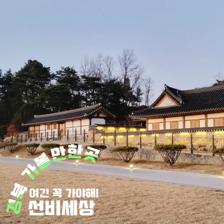 경북 가볼만한 곳 영주 선비세상 아기랑 함께 : 네이버 블로그