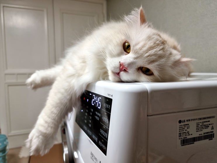 엘지건조기 트롬 RH19WTAN.AKOR 19kg 구입 : 네이버 블로그