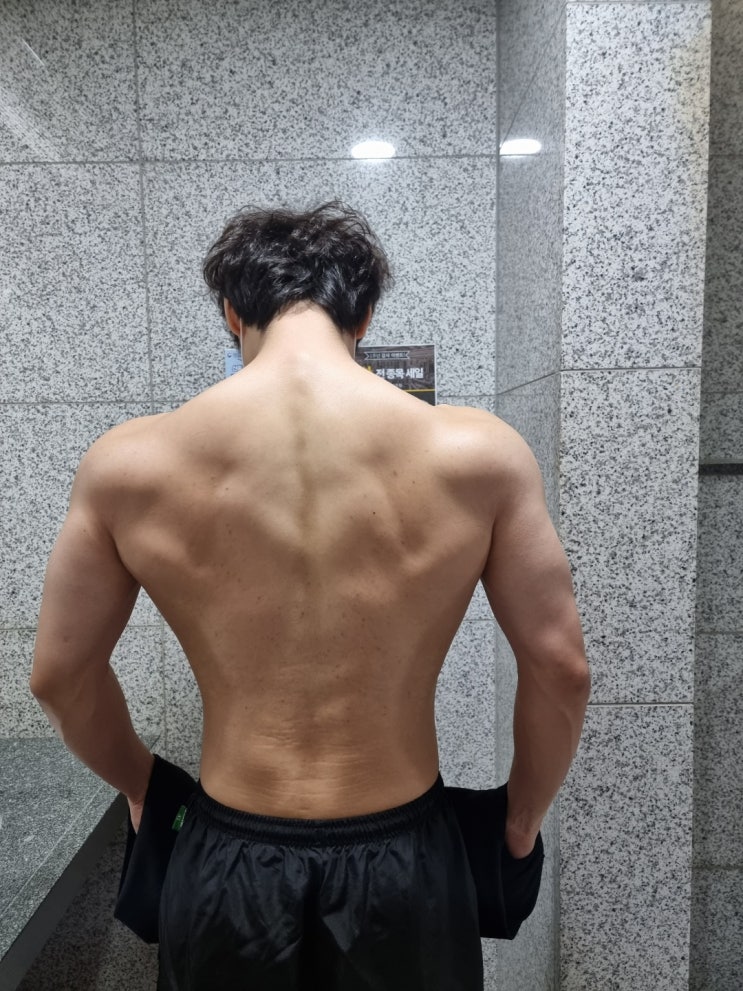 선릉역헬스장 원하는 몸매를 가지고 싶다면 헬스보이짐 Pt 비포and애프터 네이버 블로그