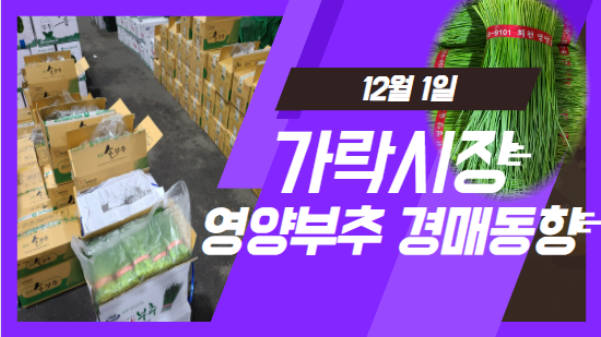 경매사 일일보고 12월 1일자 가락시장 영양부추 경매동향을 살펴보겠습니다 네이버 블로그