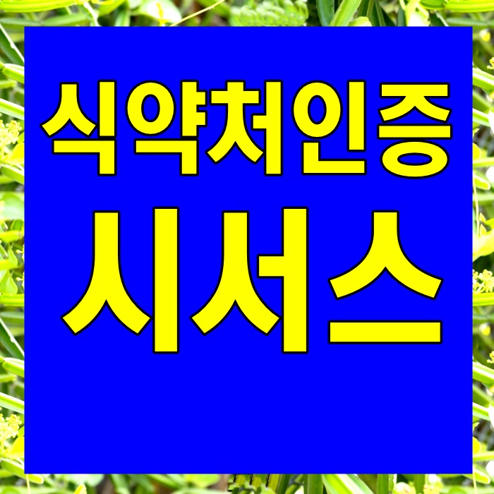 식약처인증 받은 시서스가루 다이어트 효능 효과 씨서스 추출물 복용법 네이버 블로그
