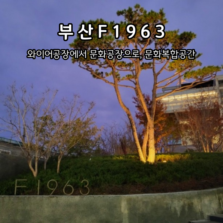부산 비오는 날 복합문화공간 F1963 YES24 중고서점 : 네이버 블로그