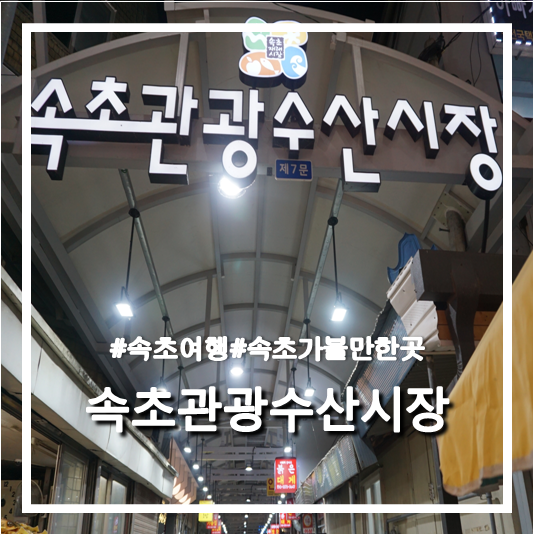 속초여행5 속초관광수산시장속초에서 신선한 먹거리가 많은 시장강원도 속초 네이버 블로그