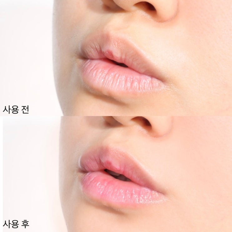 입술 틀때 쓰기 좋은 컬러 발색 립밤 추천 인생템 발견함 네이버 블로그