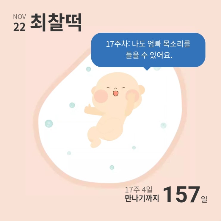 임신일기 14~19주차 입덧약 두통 첫 태동 목주름 네이버 블로그