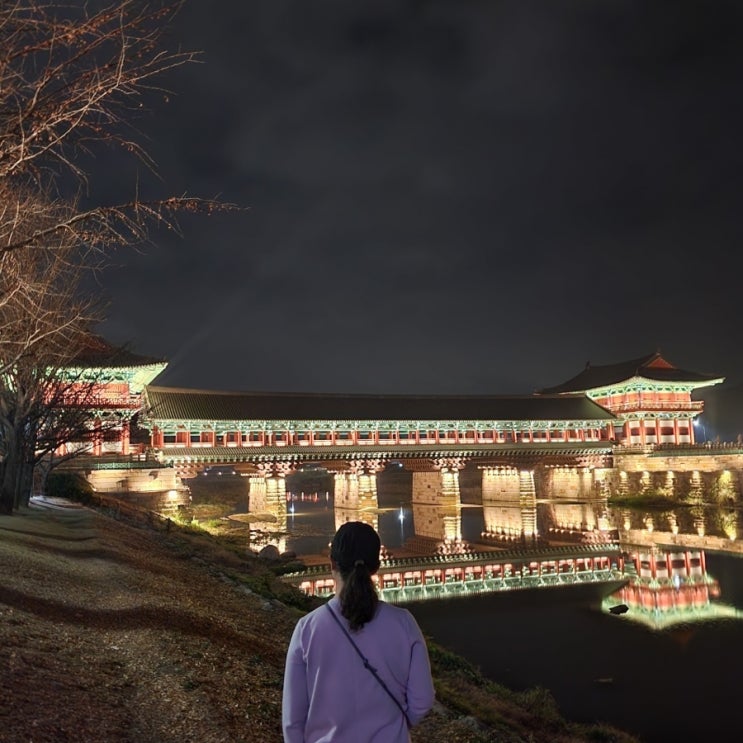 경주 여행 황리단길 첨성대동궁과 월지월정교한화리조트 경주 네이버 블로그