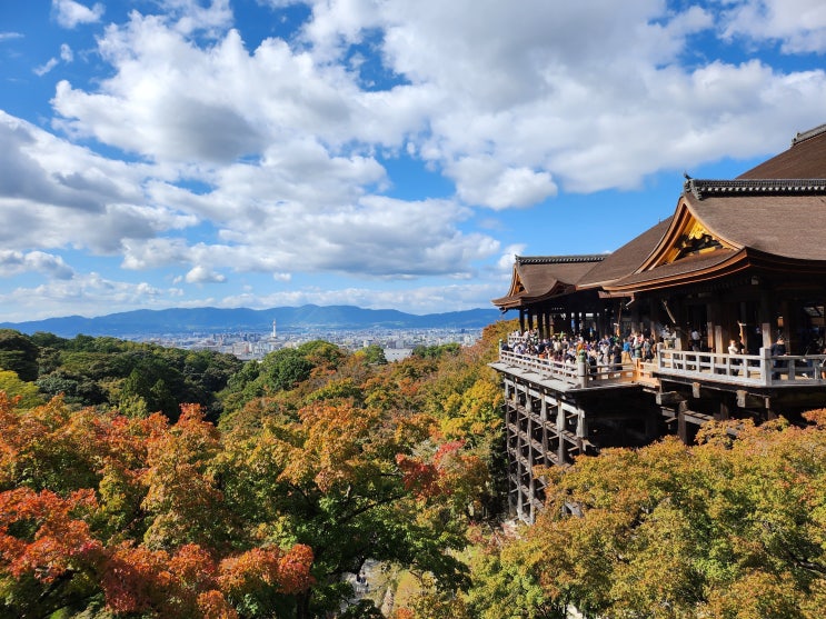 (2022년 10월 28일~30일) 오사카 자유여행 2일차- 청수사, 니시키 시장, 도톤보리 나이트 크루즈 : 네이버 블로그