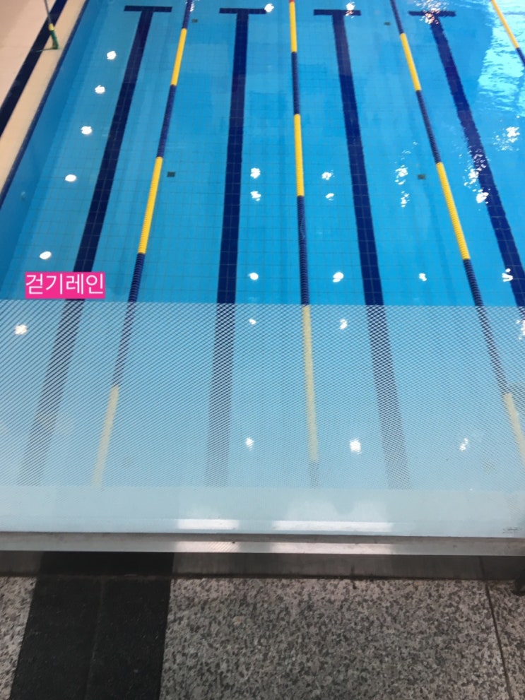 중곡문화체육센터 수영 초보인데 자유수영 가도 되나👀 And 자유수영 정보 네이버 블로그